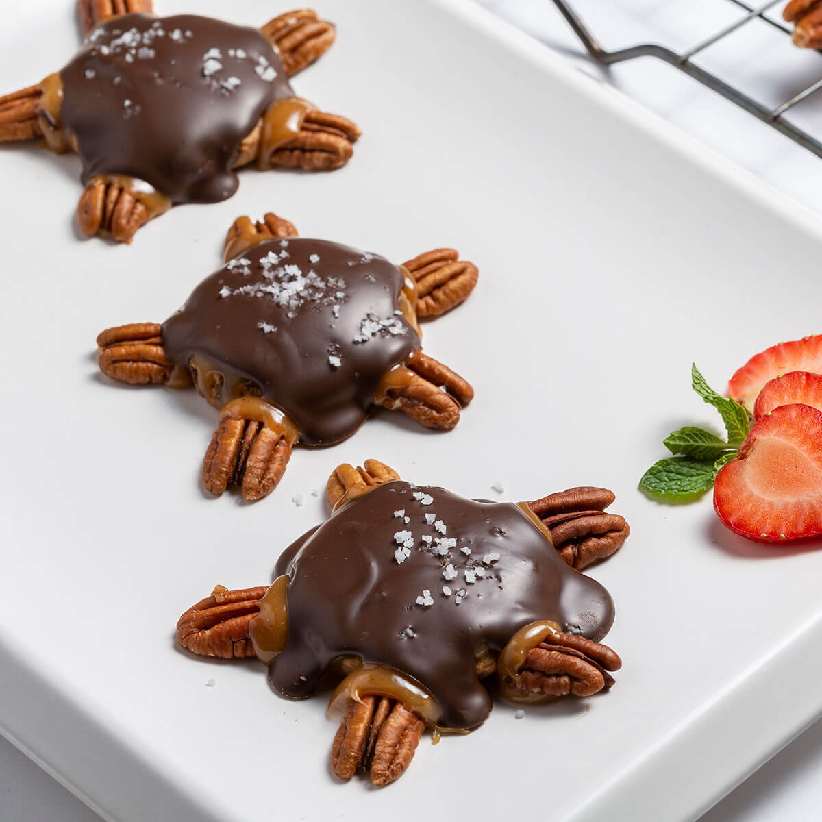 Tortugas Chokis® de Chocolate